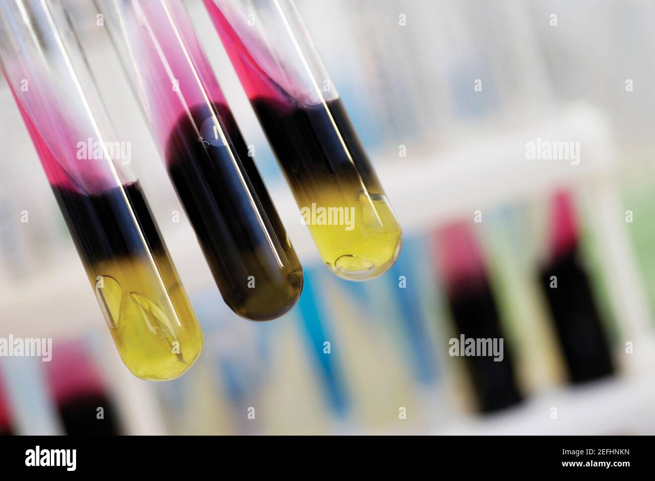 Focus rack test tubes laboratory hi-res stock photography and images ...