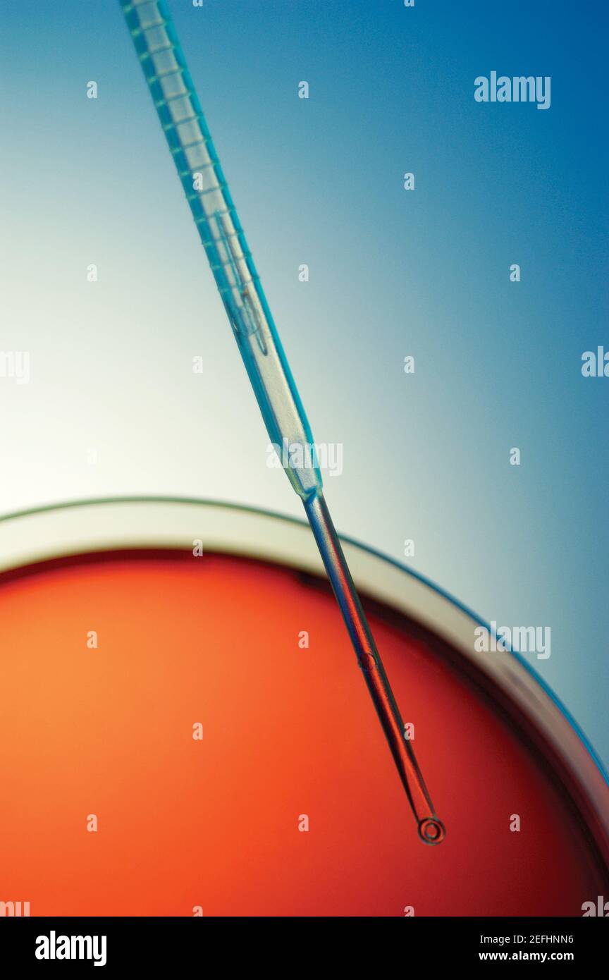 Dropper chemistry hi-res stock photography and images - Alamy