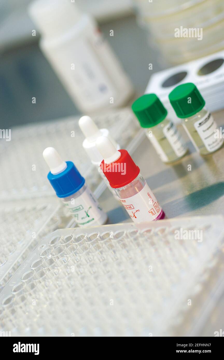 High angle view of a test tube rack and droppers Stock Photo - Alamy