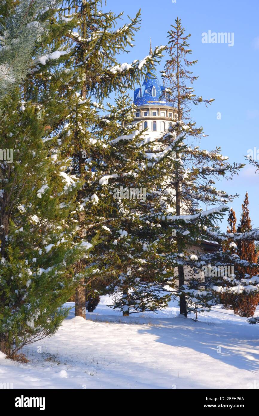 Blue tower of vintage castle behind pine trees under snow Stock Photo ...