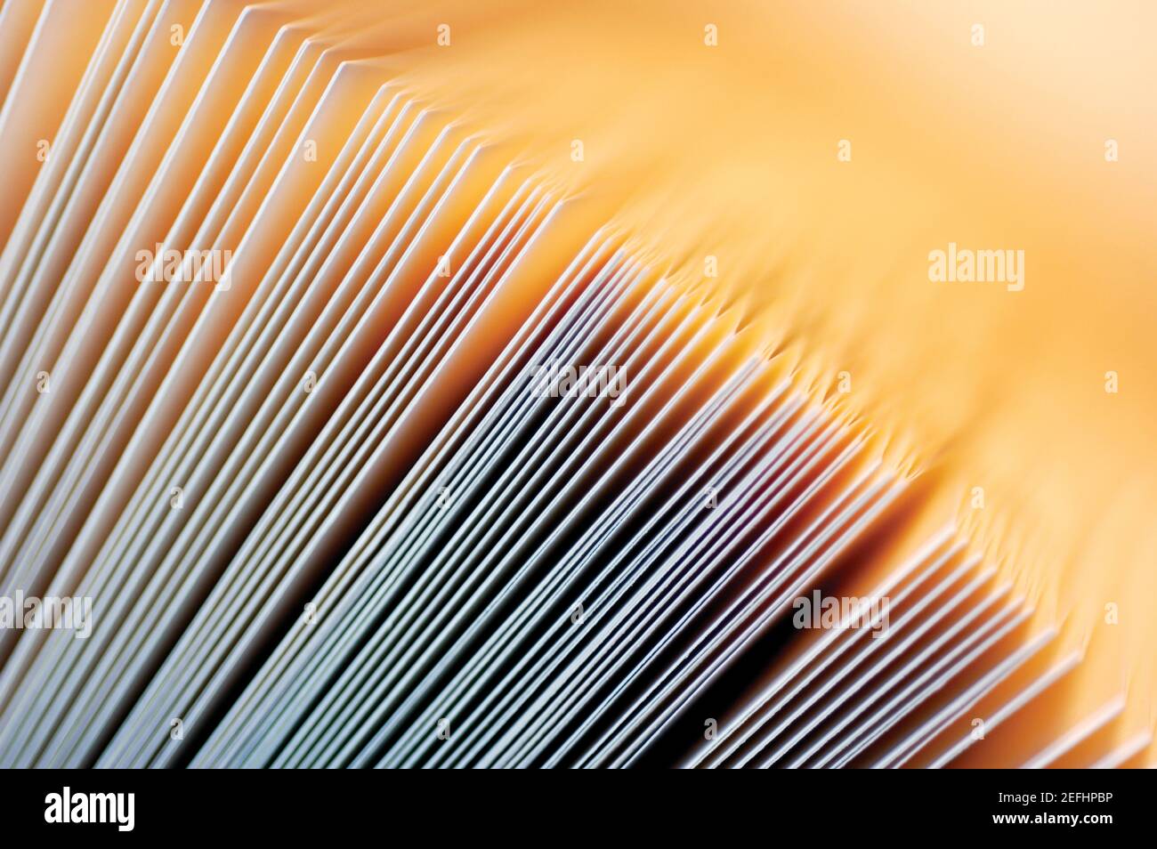 A large group of documents hi-res stock photography and images - Alamy