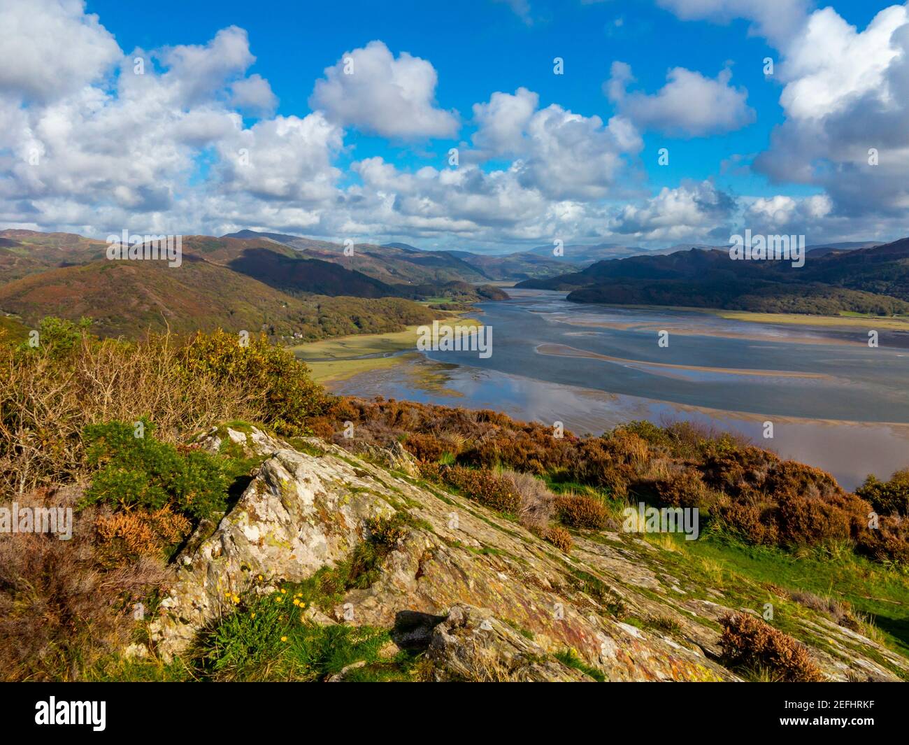 Snowdonia wales heather hi-res stock photography and images - Alamy