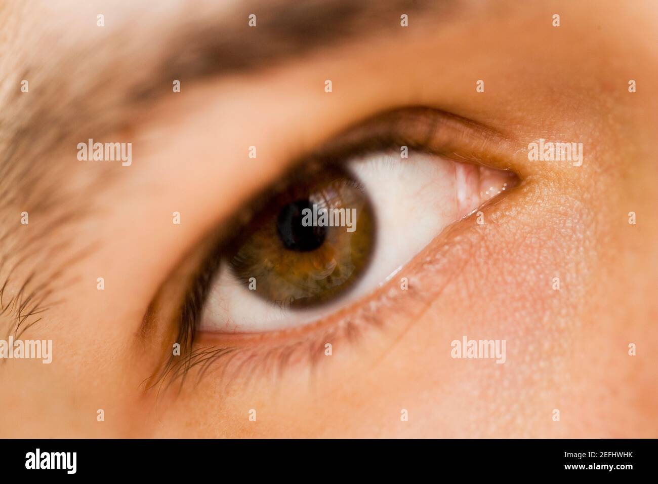 Close-up of a human eye Stock Photo - Alamy