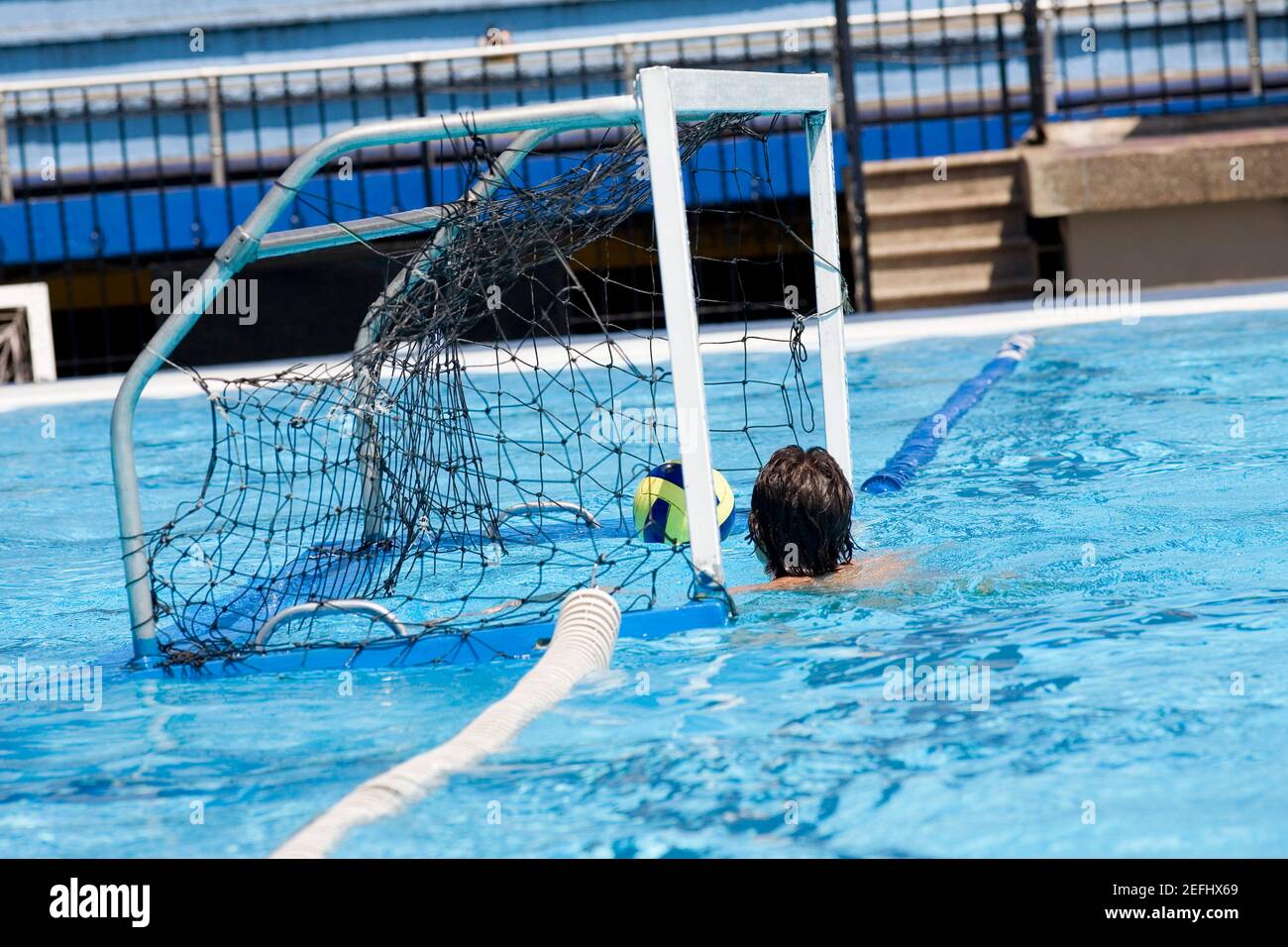 Rear view of a man playing water polo in a swimming pool Stock Photo ...