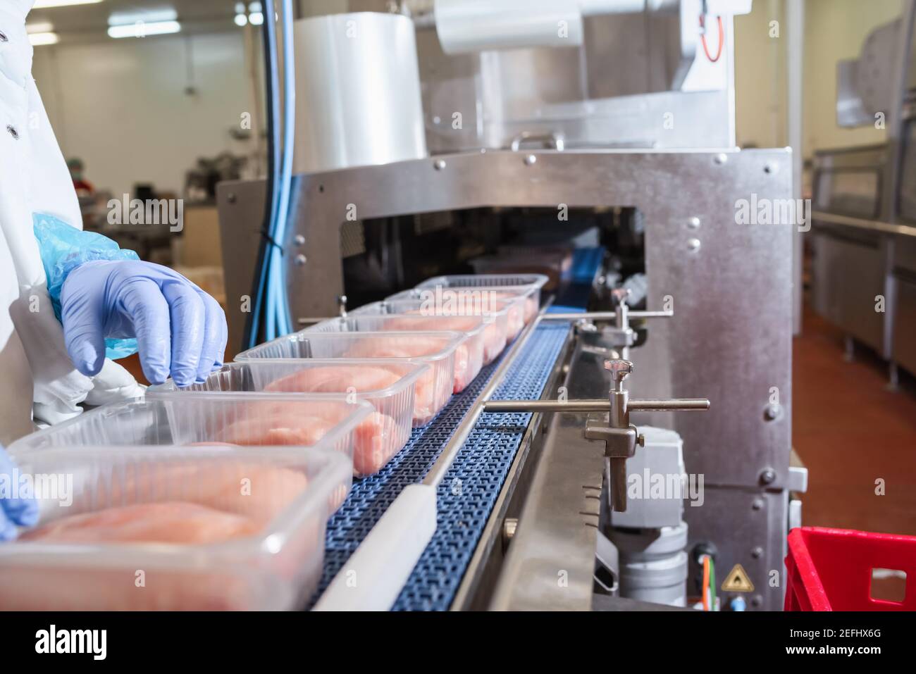Conveyor Belt Food.Factory for the production of food from meat ...