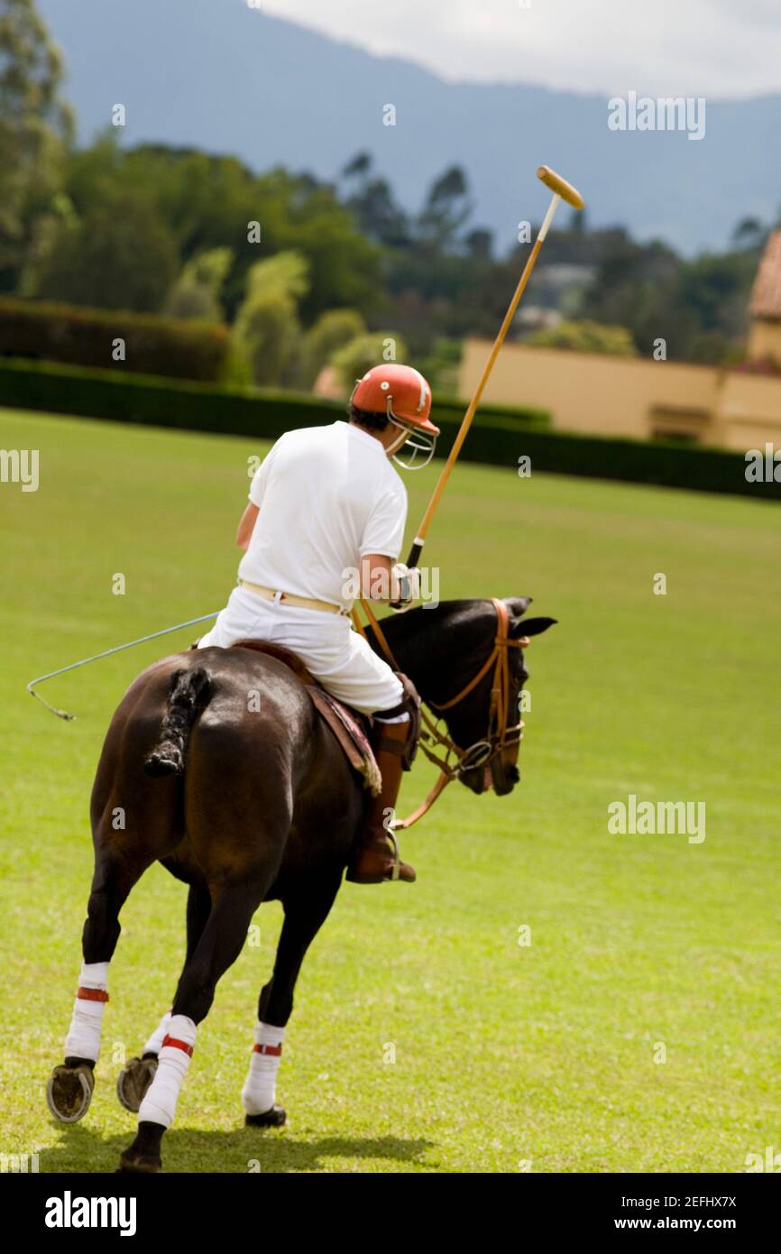 Bridle Playing High Resolution Stock Photography and Images - Alamy