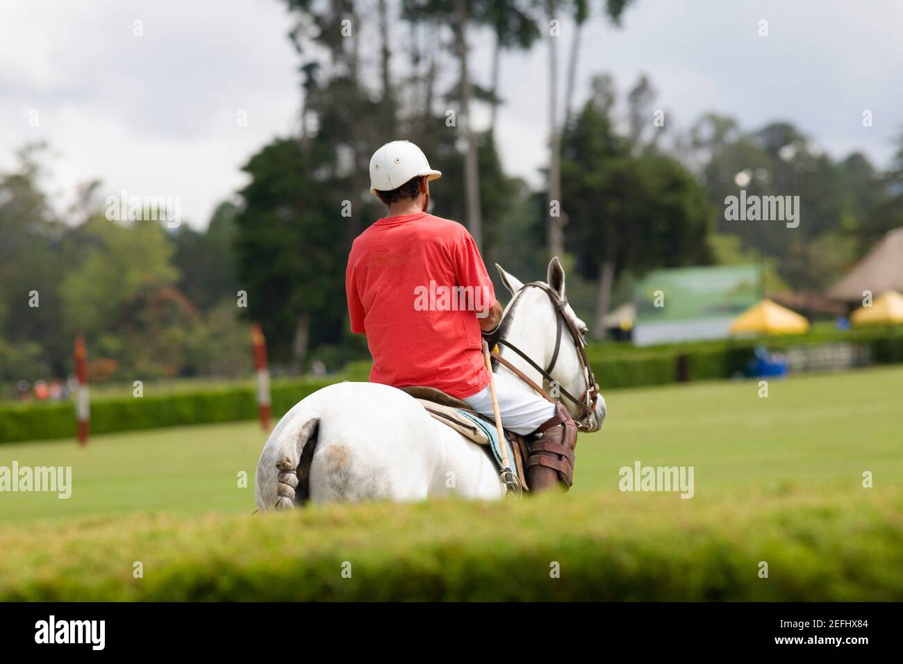 Rear view of a man playing polo Stock Photo - Alamy