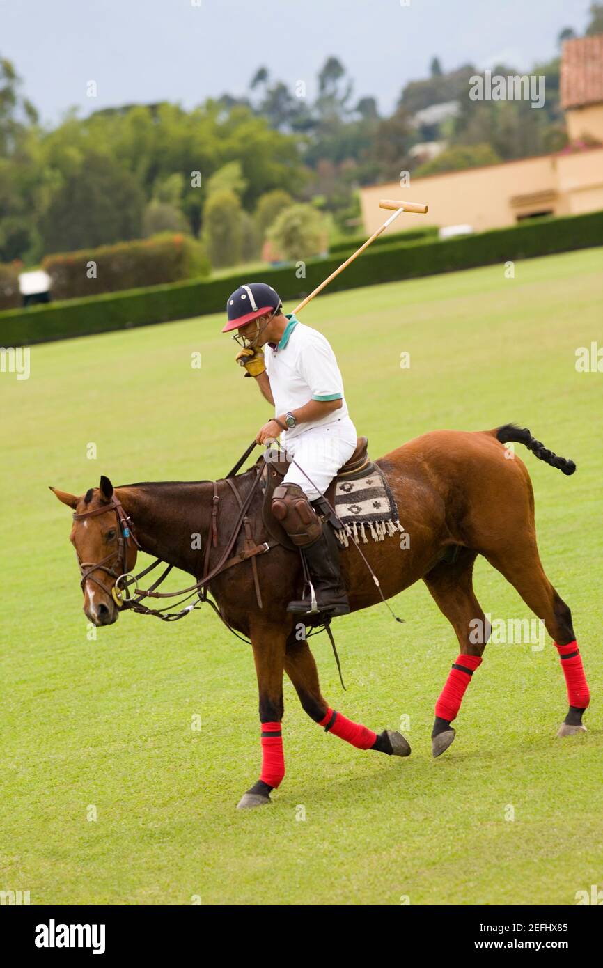 Side profile of a mature man playing polo Stock Photo - Alamy