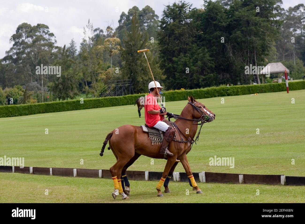 Side profile of a man playing polo Stock Photo - Alamy