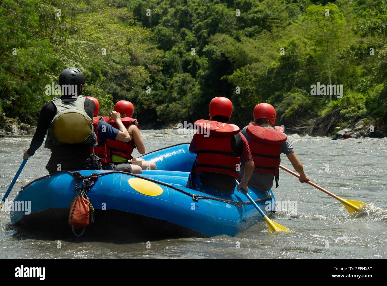 Rear view of five people rafting in a river Stock Photo - Alamy