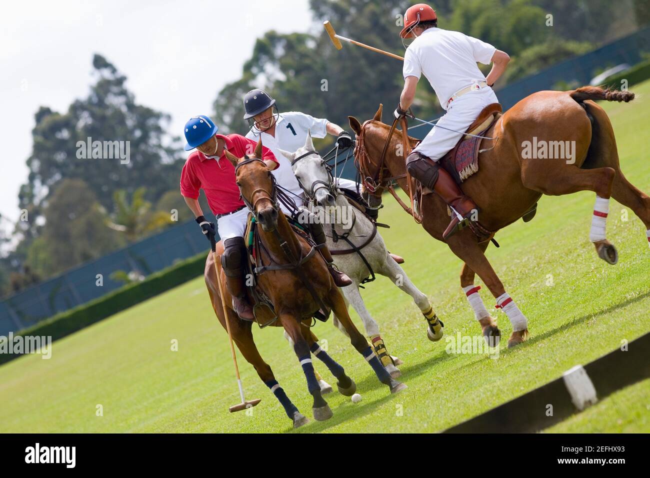 Three polo players playing polo Stock Photo - Alamy