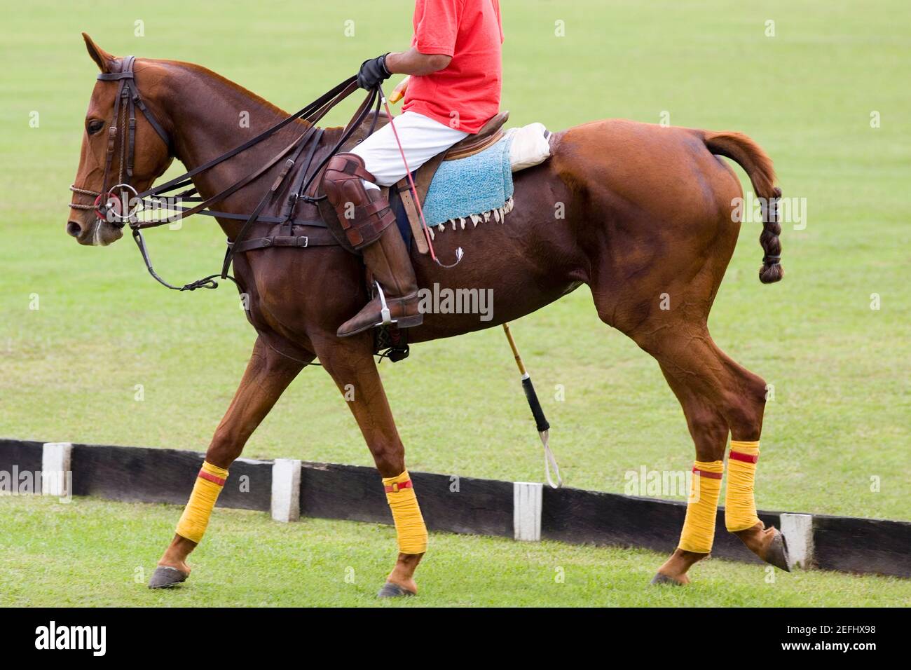 Man riding horse playing polo hi-res stock photography and images - Alamy