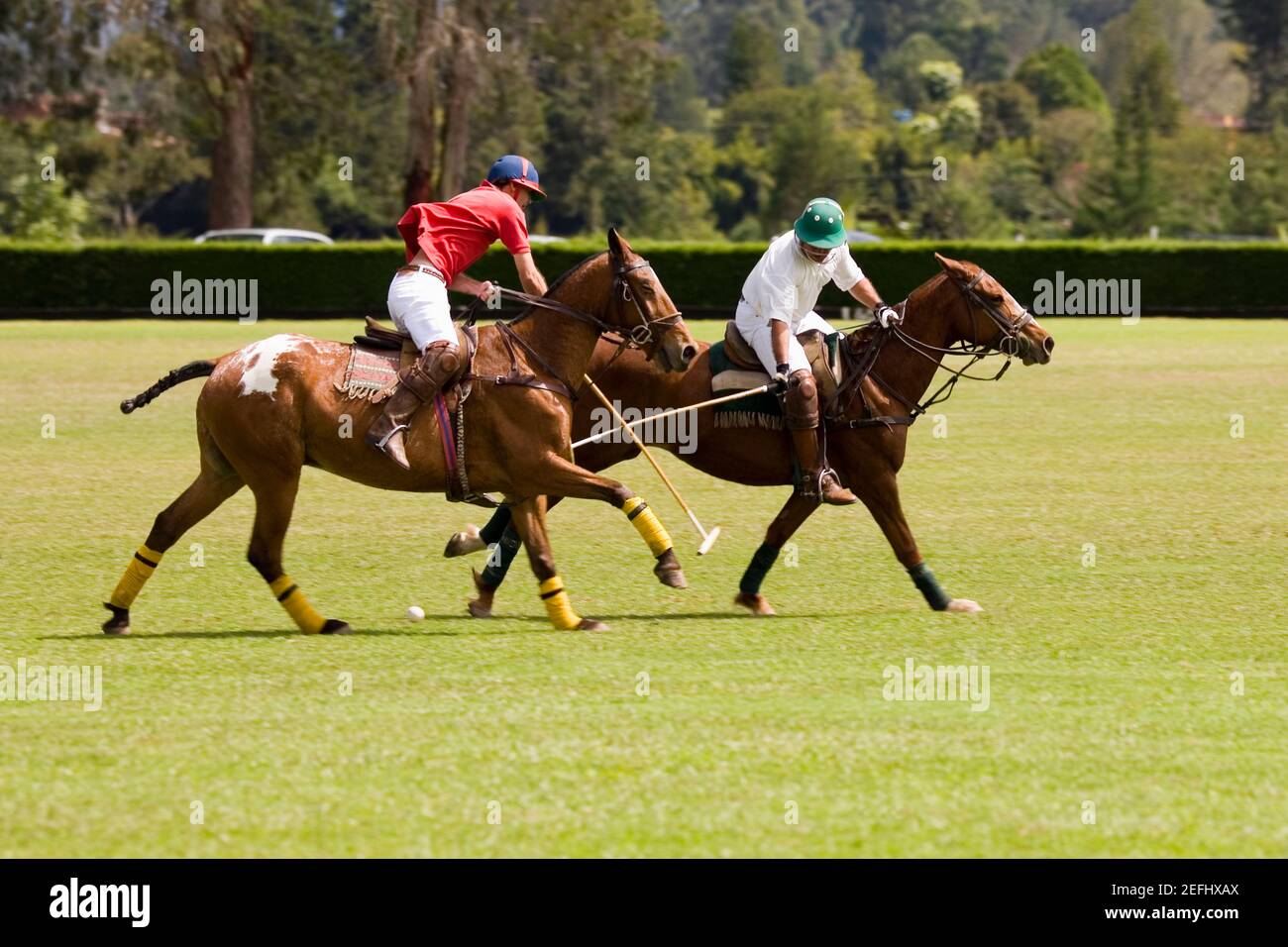 Polo players playing polo on horseback hi-res stock photography and ...