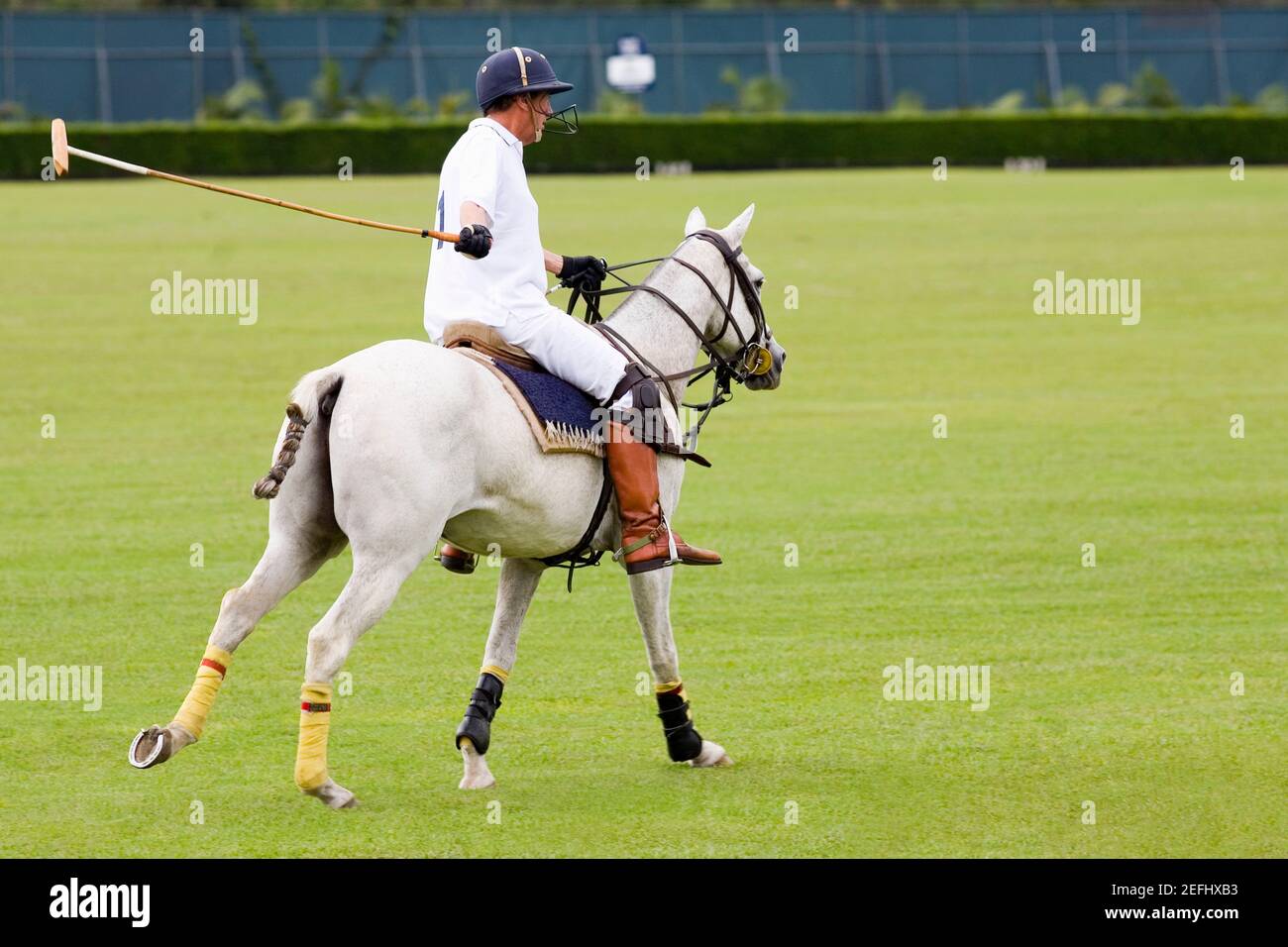 Side profile of a man playing polo Stock Photo - Alamy