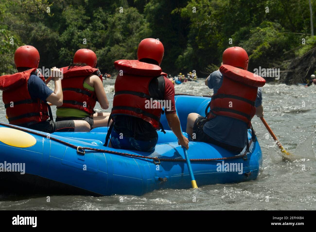 Rear view of four people rafting in a river Stock Photo - Alamy