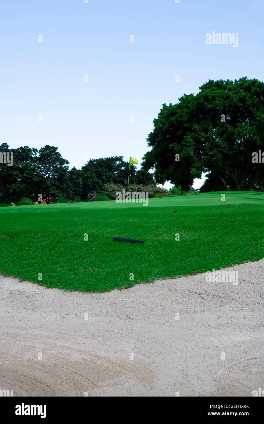 Trees in a golf course Stock Photo - Alamy
