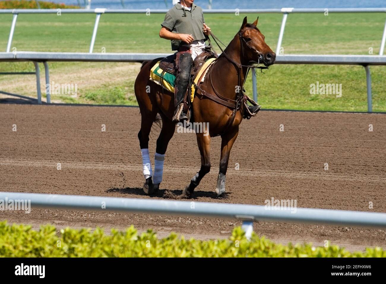 Side profile of a jockey riding a horse in a horse race Stock Photo - Alamy