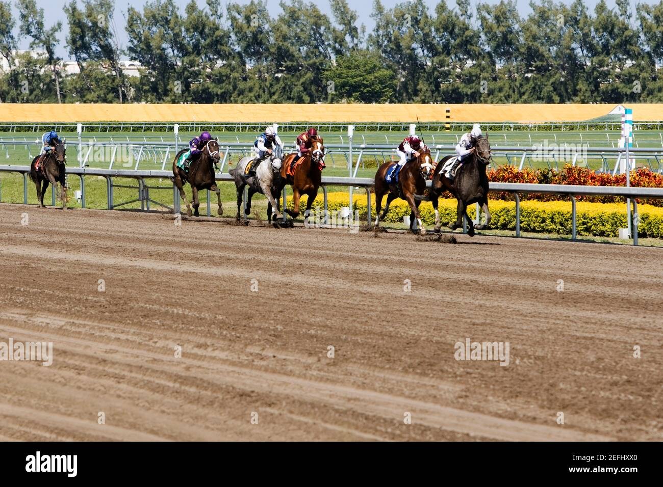 Group of jockeys riding horses in a horse race Stock Photo - Alamy