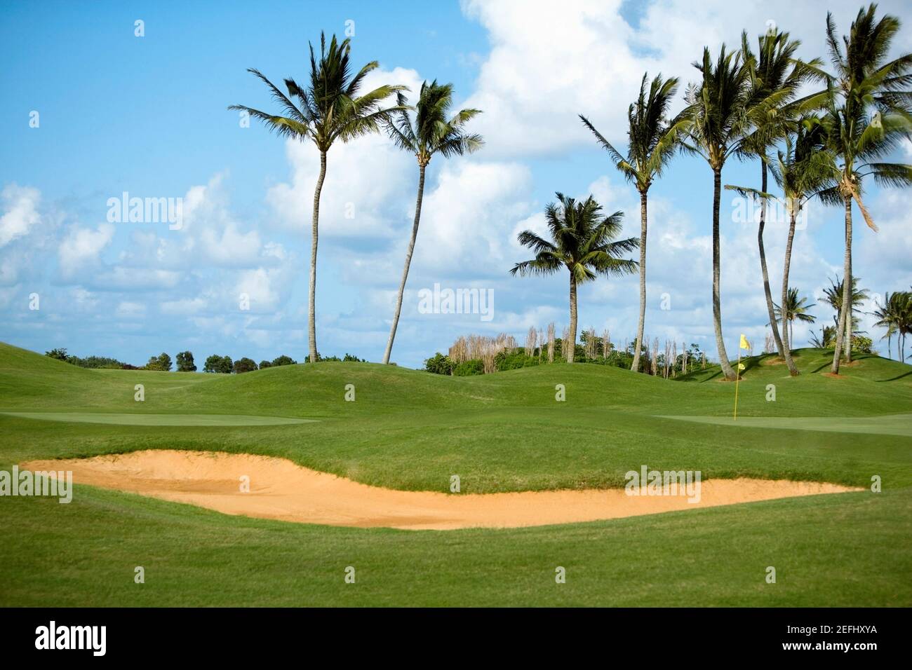 Kauai golf course hi-res stock photography and images - Alamy