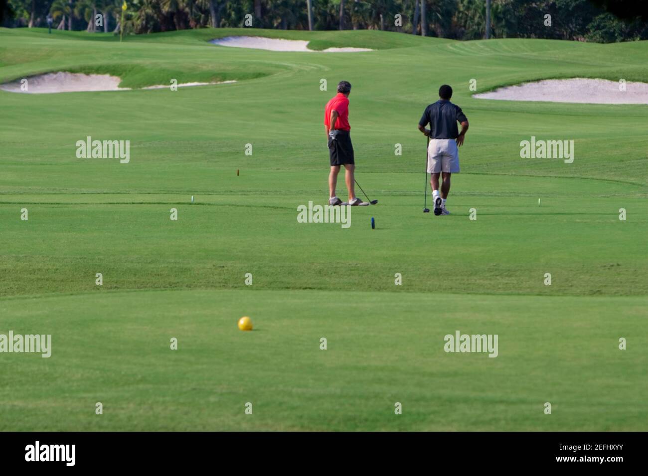 Two men playing golf in a golf course Stock Photo - Alamy