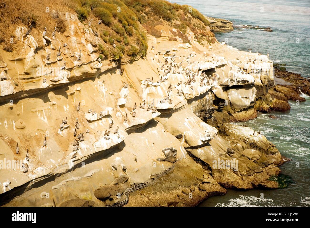 Panoramic view of a cliff at the La Jolla Reefs, La Jolla, San Diego ...