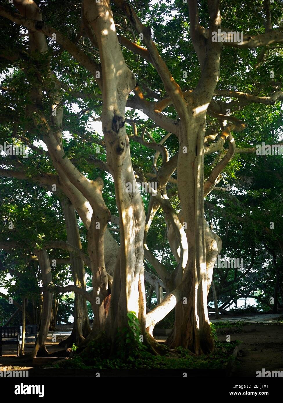 Non living nature hi-res stock photography and images - Alamy