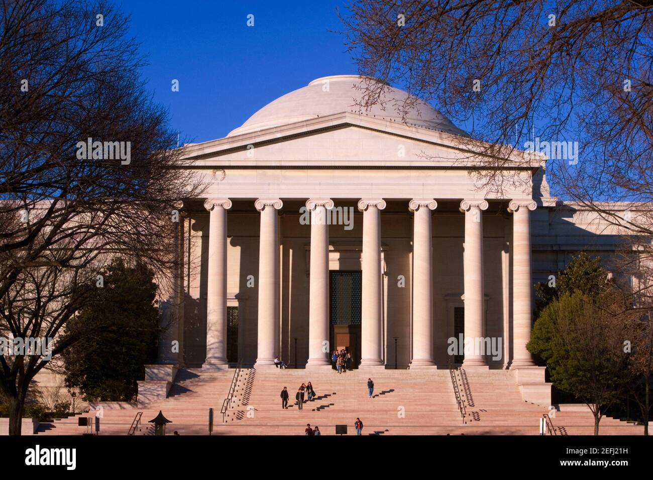 American architecture column jefferson hi-res stock photography and ...