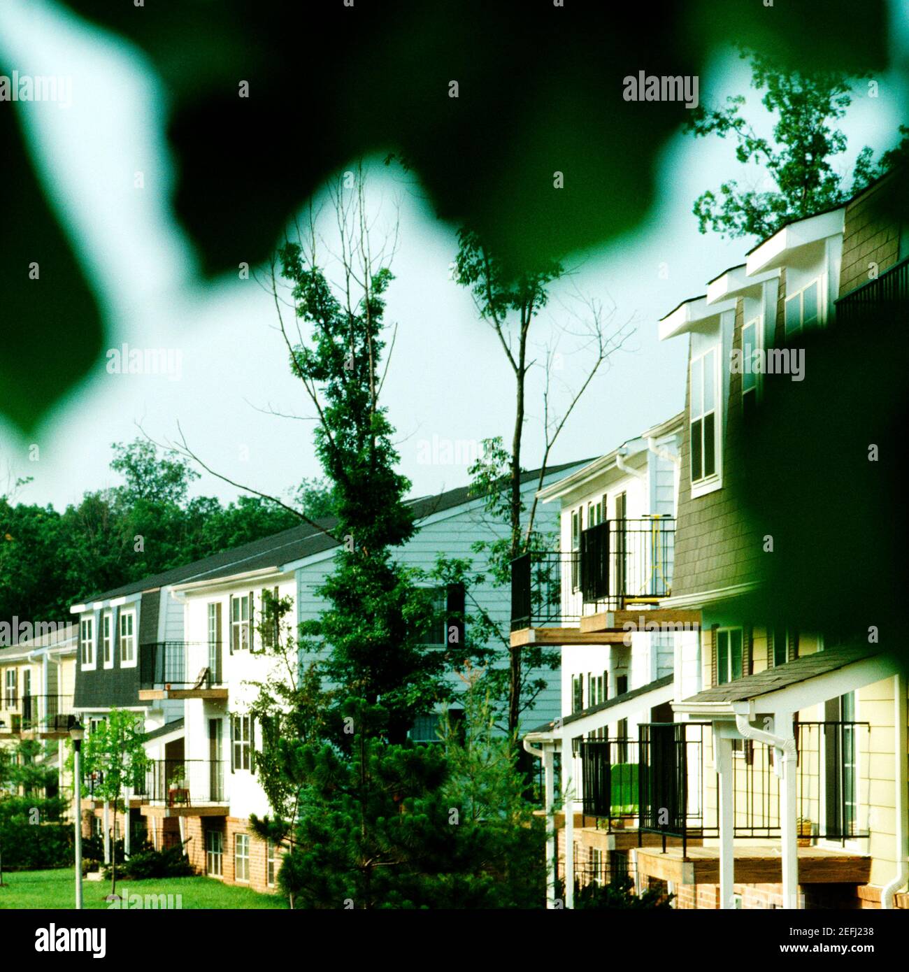 Community structure hi-res stock photography and images - Alamy