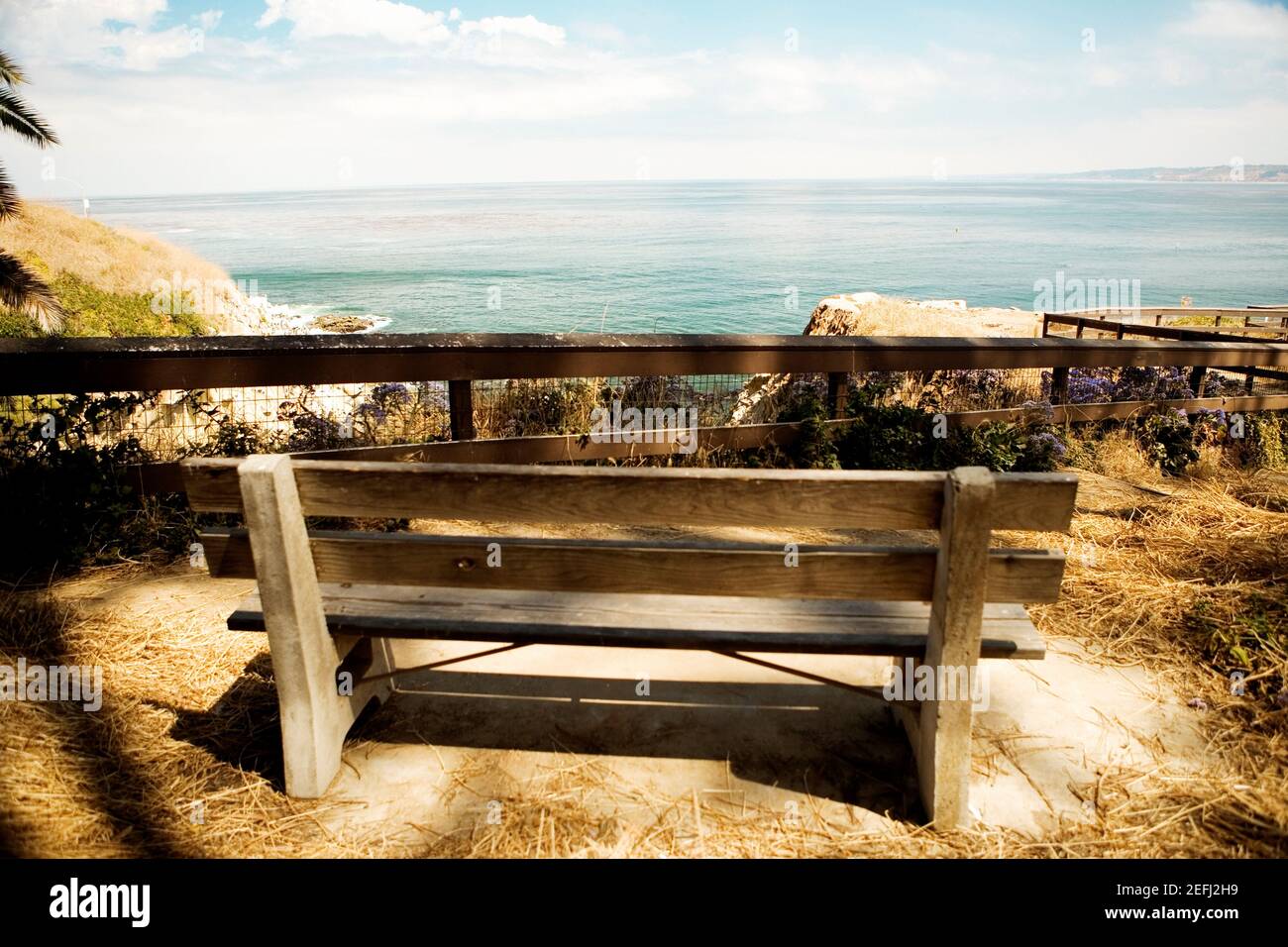 Empty bench rear view hi-res stock photography and images - Alamy