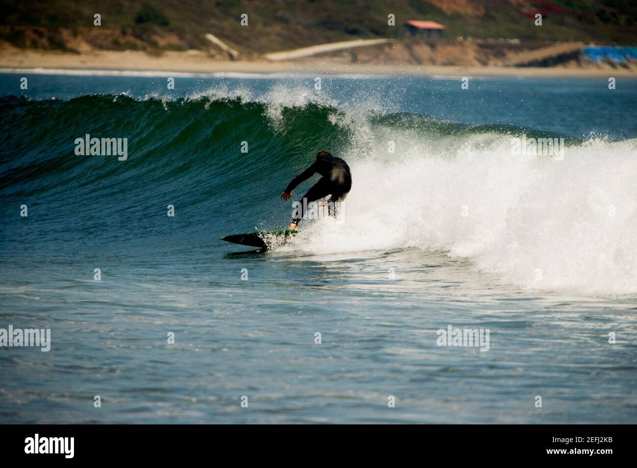 Rear view of a person surfing Stock Photo - Alamy