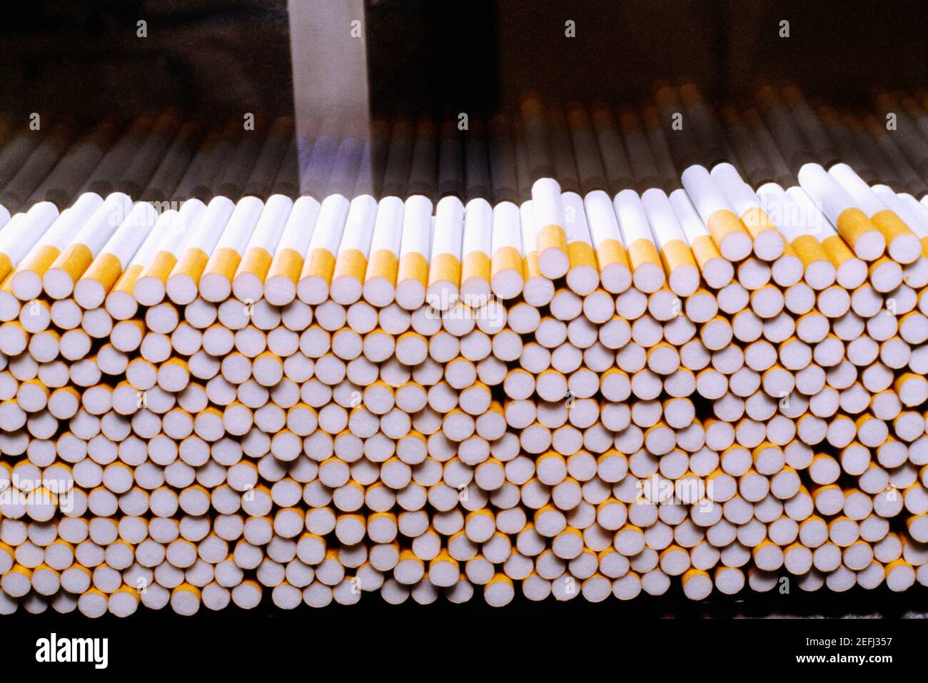 Close-up of cigarettes on an assembly line at a factory, Phillip Morris ...