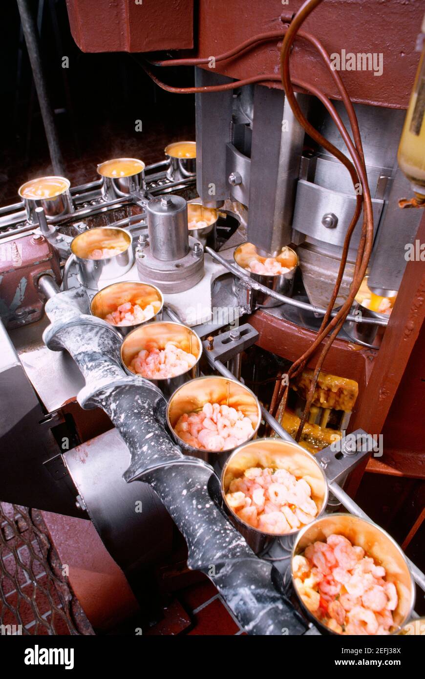Canning production line hi-res stock photography and images - Alamy