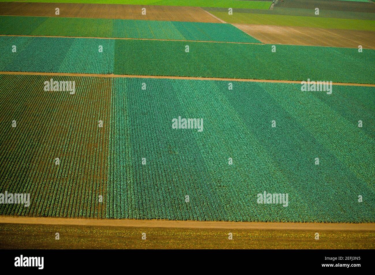 Aerial of farm fields Stock Photo - Alamy