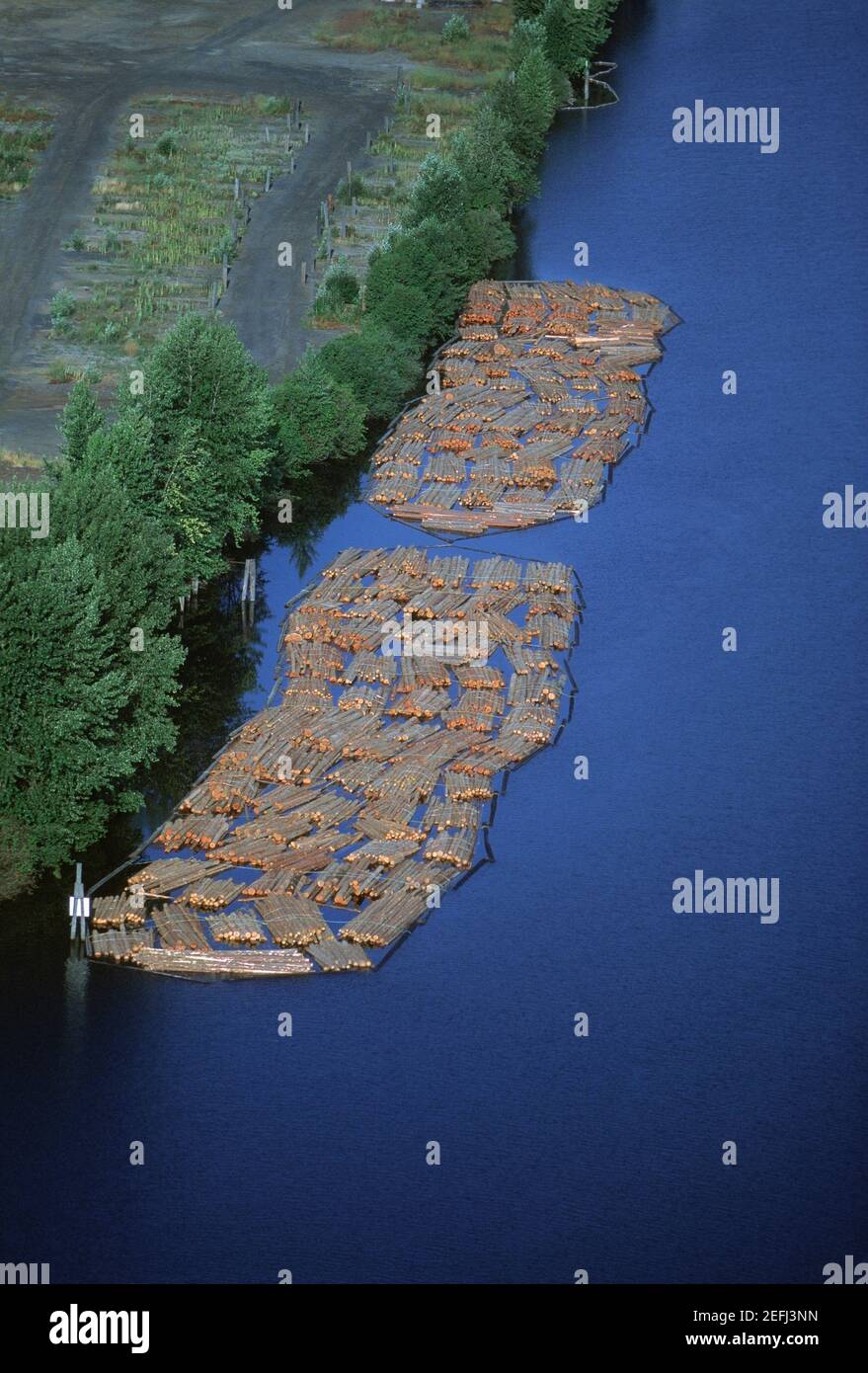 Log rafts flowing to a sawmill, Idaho Stock Photo - Alamy