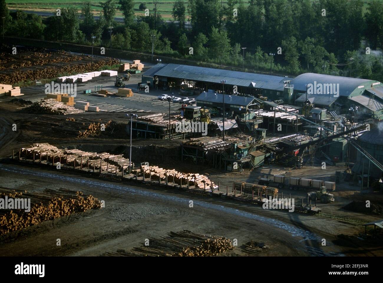 Large commercial sawmill, Idaho, USA Stock Photo - Alamy