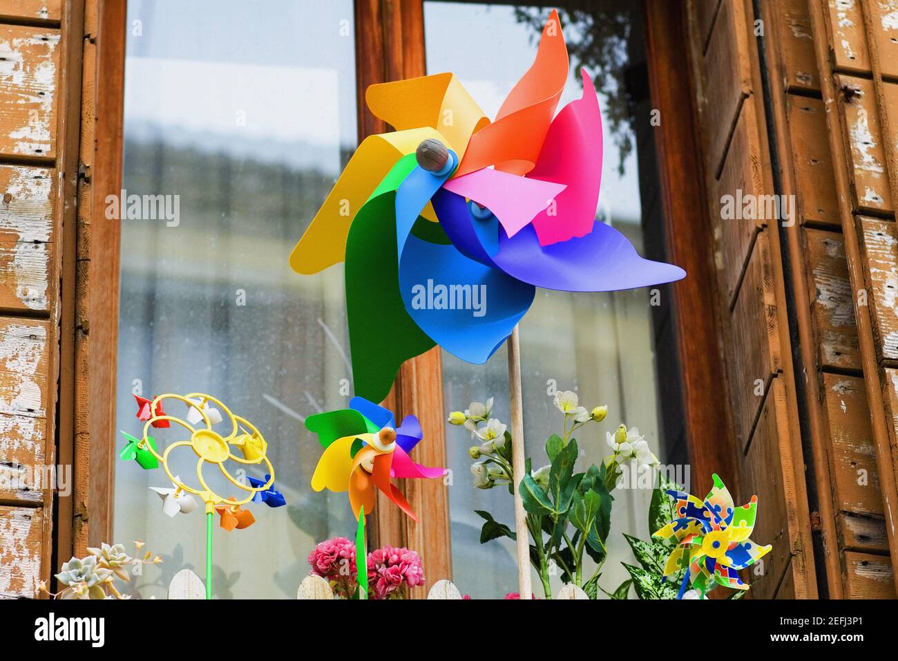 Close up image front hi-res stock photography and images - Alamy