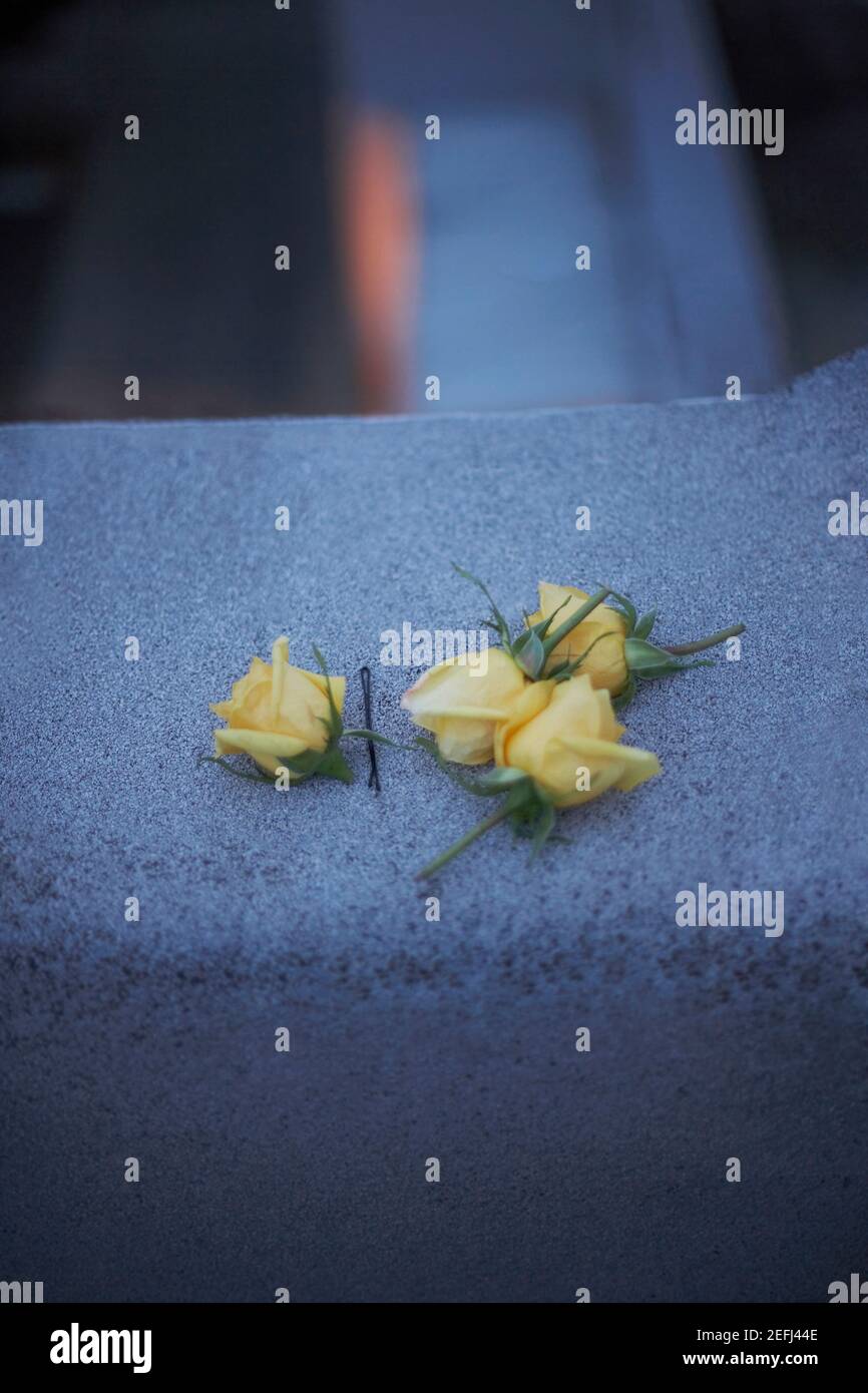 Objects on ledge hi-res stock photography and images - Alamy