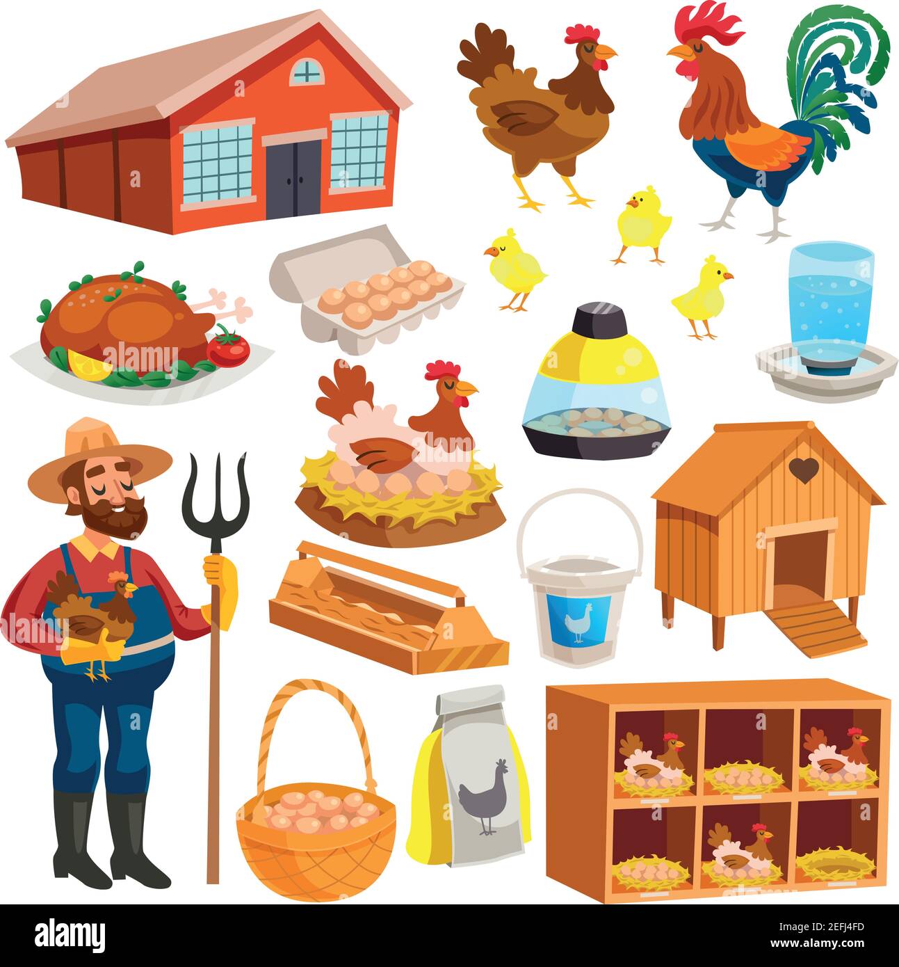 Poultry farm elements set with owner birds barn coop roost chicken meat ...