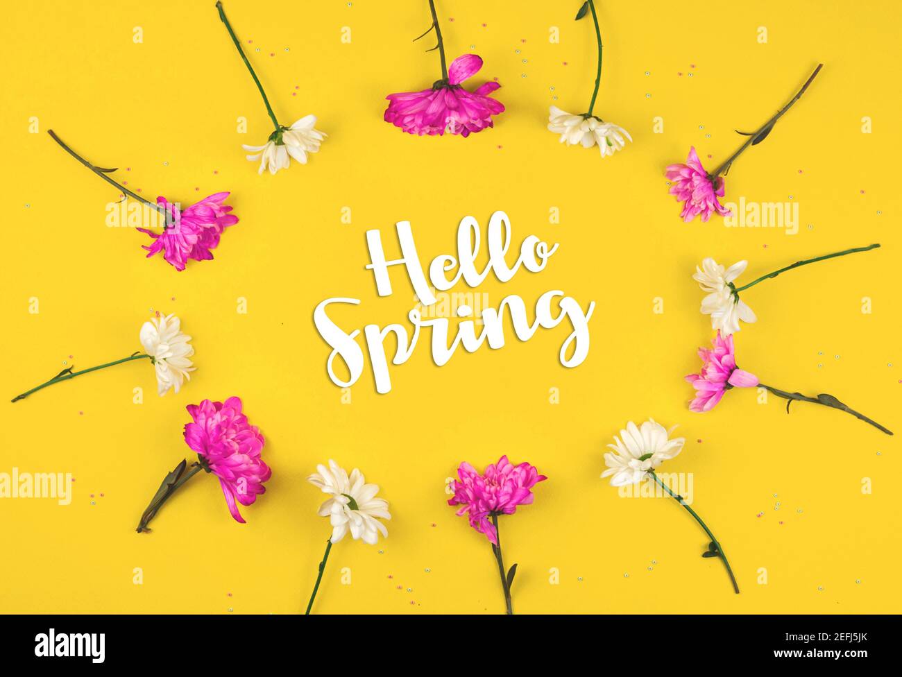 Hello spring background and frame made by flowers, text inscription on ...