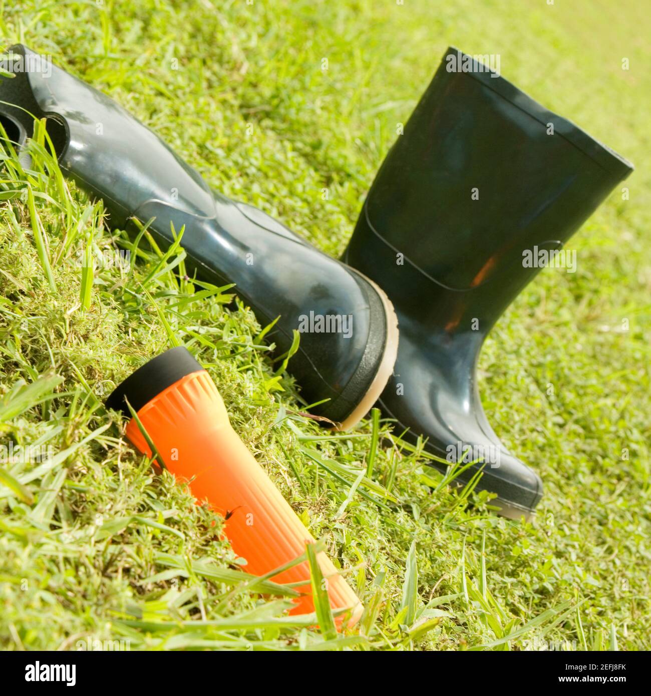 Three color flashlight hi-res stock photography and images - Alamy