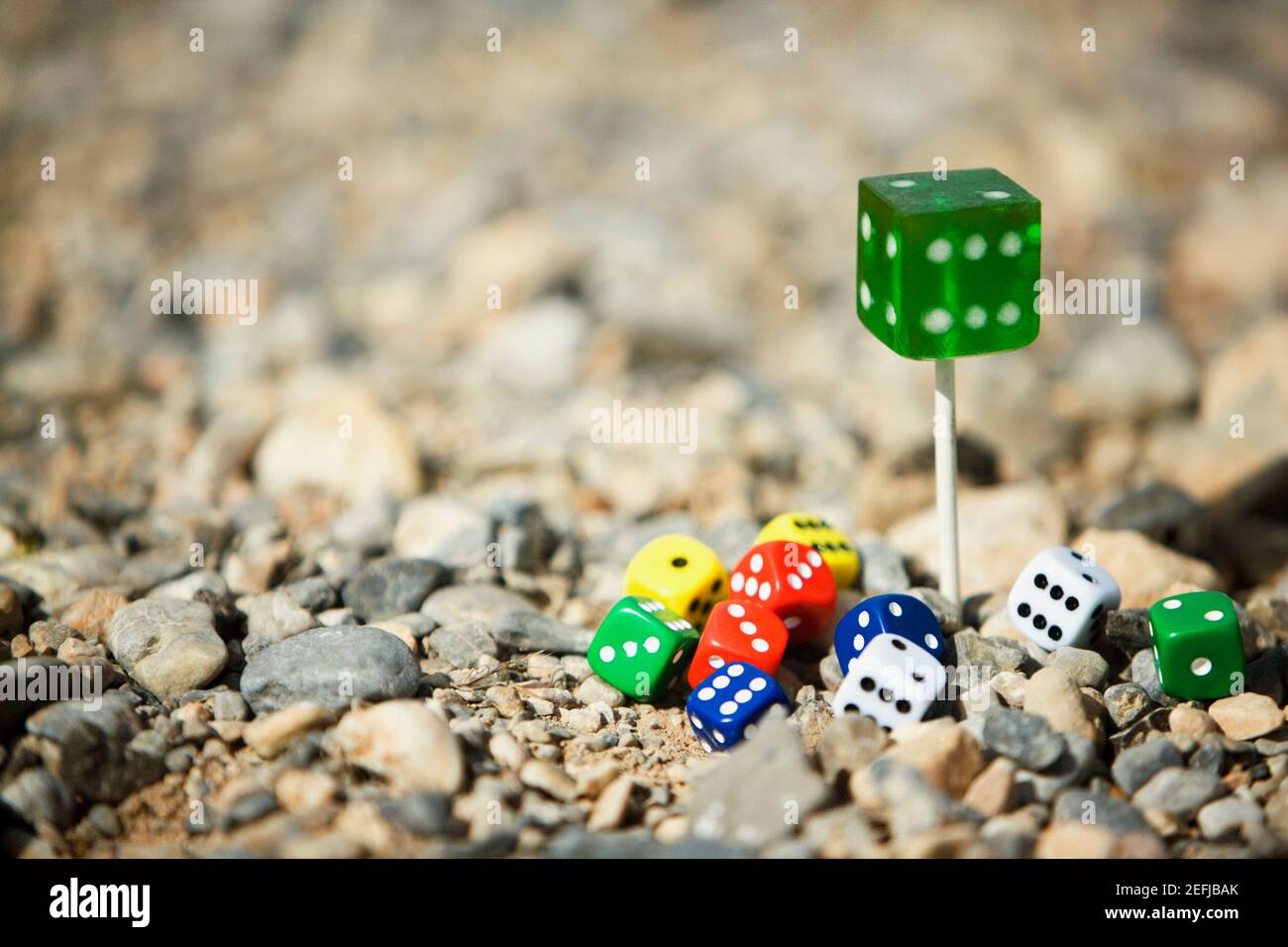 Gamble field hi-res stock photography and images - Alamy