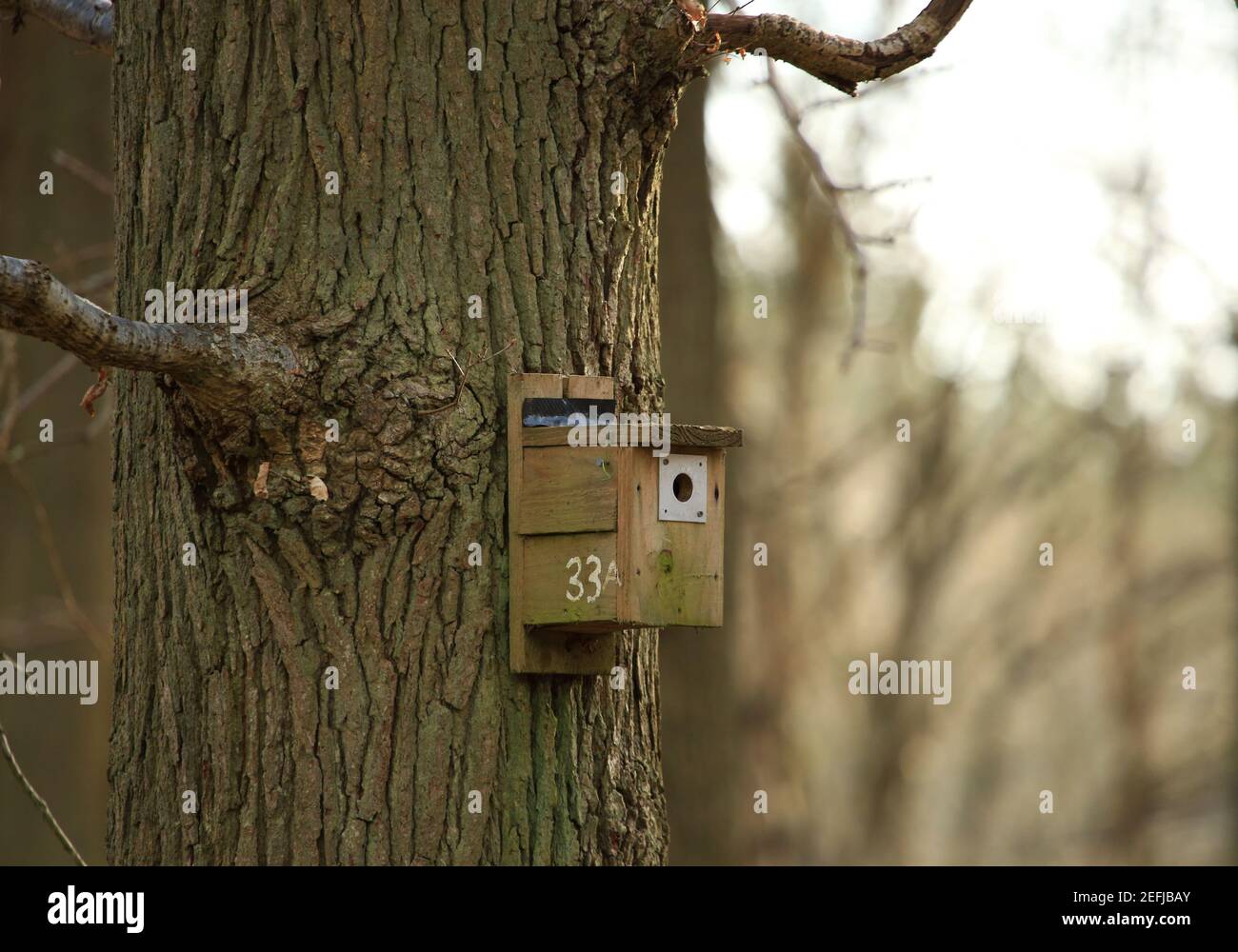 Wyre forest nature reserve hi-res stock photography and images - Alamy