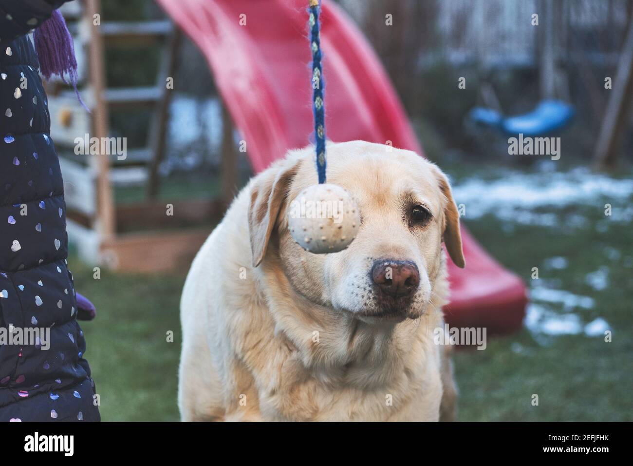 Eye ball toy hi-res stock photography and images - Alamy