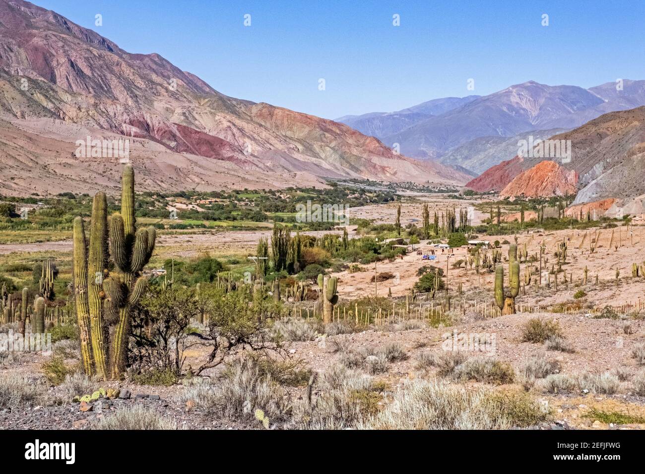 Flora de argentina hi-res stock photography and images - Alamy