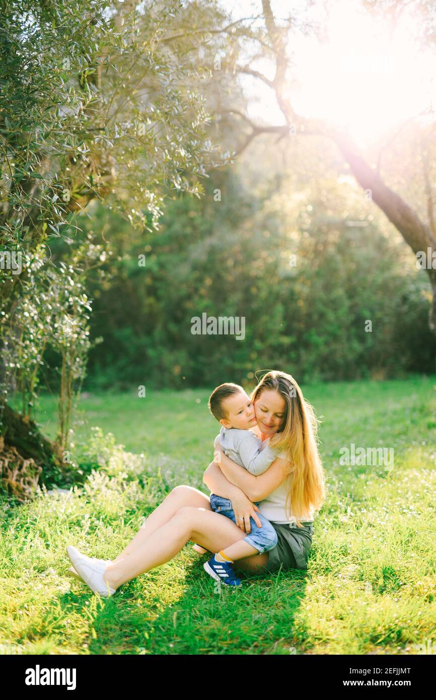 Sitting under an olive tree hi-res stock photography and images - Alamy