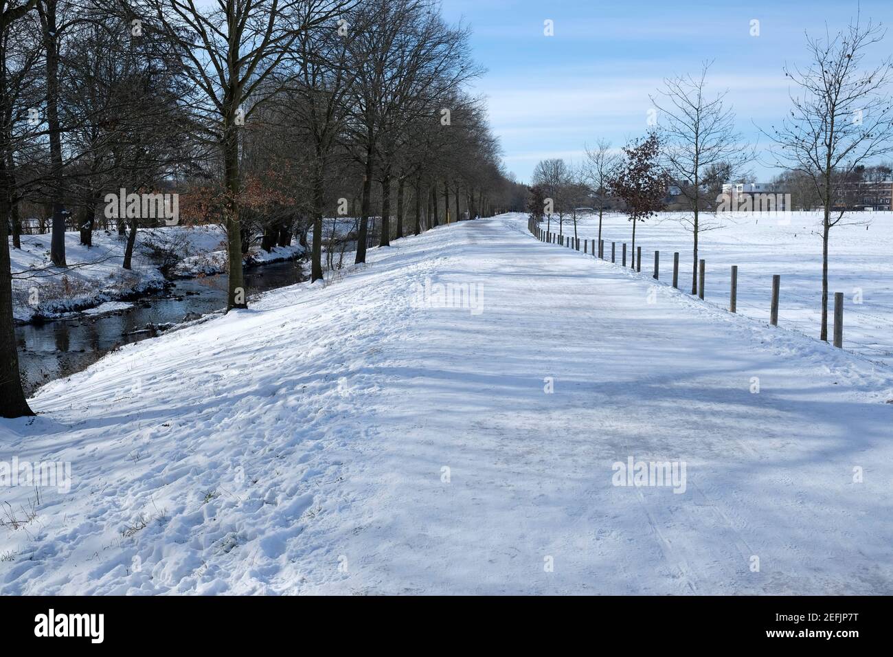Snowy winter with a path leading forward and trees on both sides Stock ...