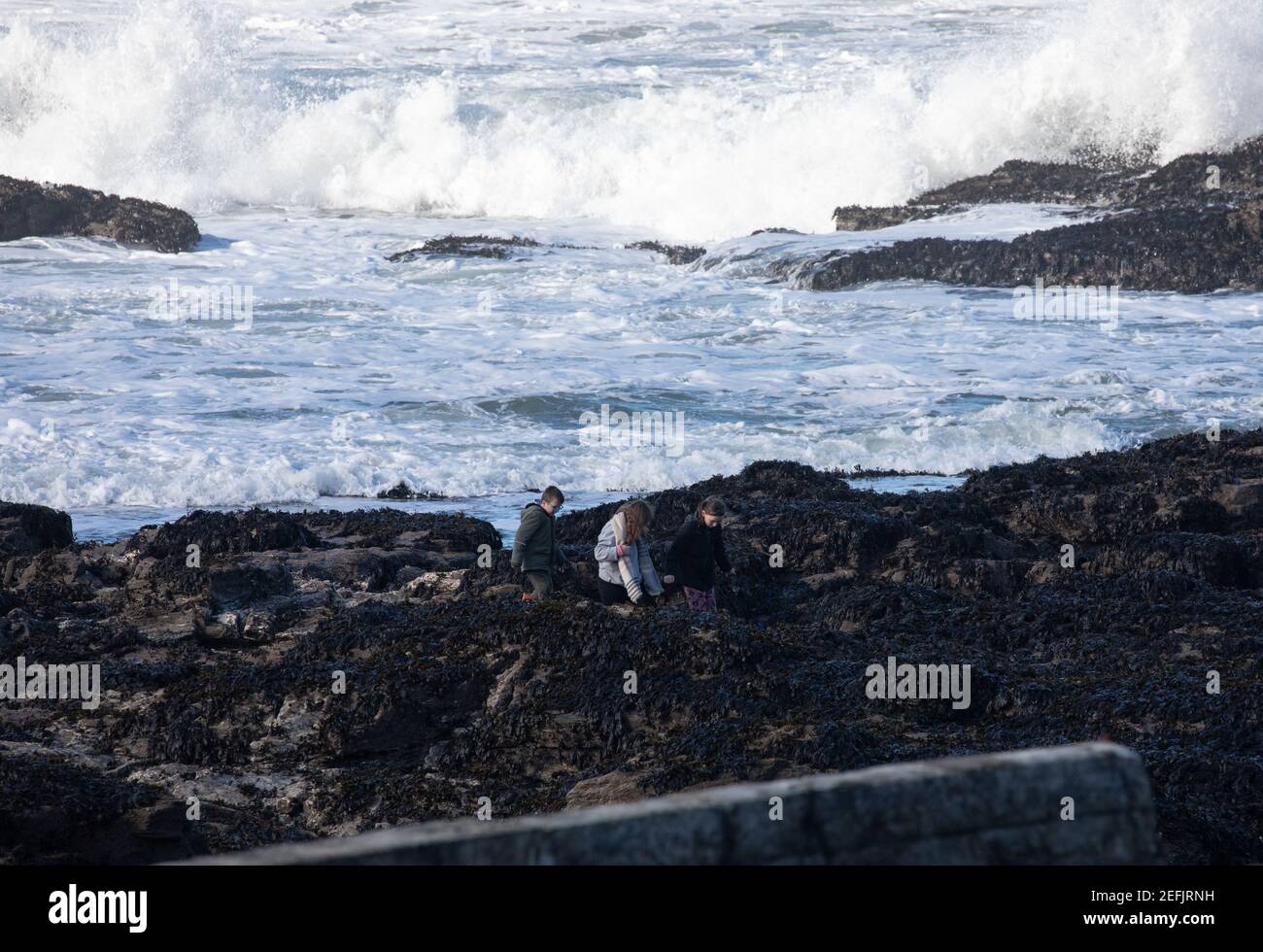 Day rock pooling hi-res stock photography and images - Alamy