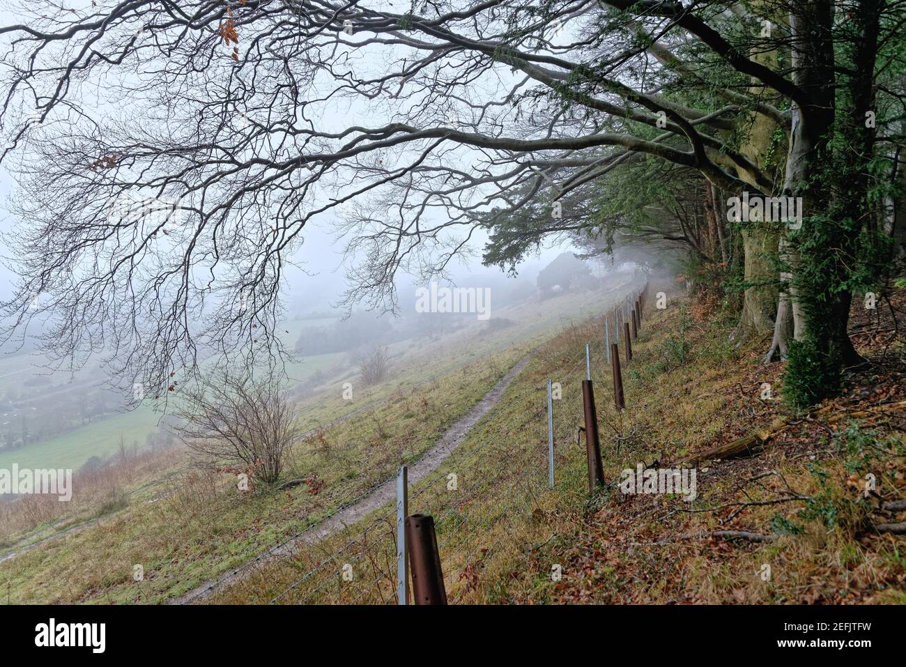 Foggy day hi-res stock photography and images - Alamy