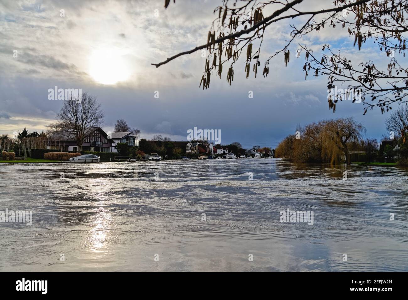 The River Thames in full flood after heavy rainfall, Shepperton lock ...
