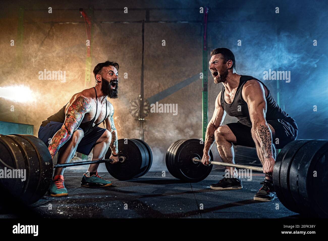 Two muscular bearded tattoed athletes training, lifting heavy weight ...
